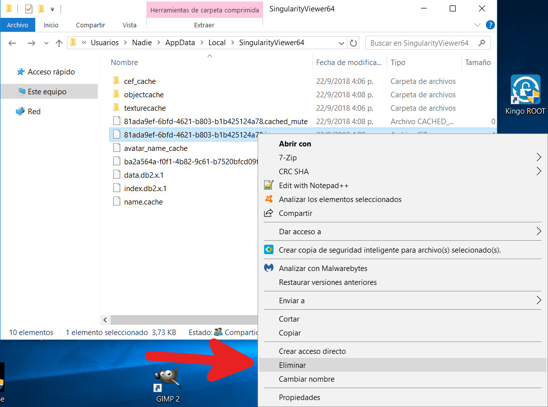 Limpiar caché en Visor Singularity | Ayuda Virtual
