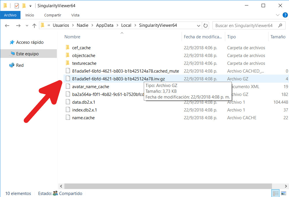 Limpiar caché en Visor Singularity | Ayuda Virtual